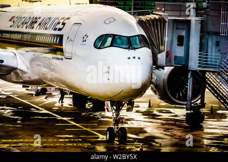 Singapore Airlines Airbus A350 loading freight cargo into the hold ...