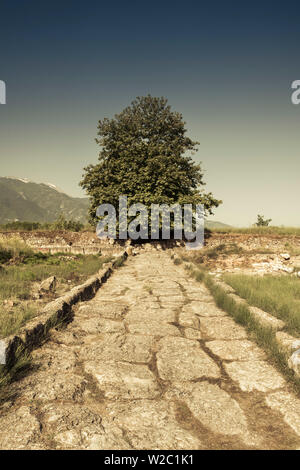 Ancient Greece city Dion. Ruins of ancient christian basilica in ...