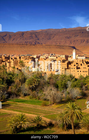 Road To Todra Gorge With Oasis, Tinghir, Morocco, North Africa Stock ...