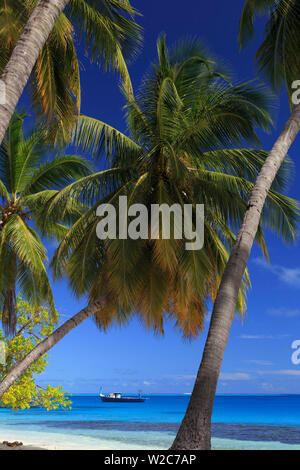 Maldives, South Ari Atoll, Mandhoo Island Stock Photo - Alamy