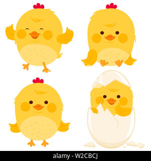 Cute little chicks and eggs. Hatching chicks from eggs, poultry farm ...