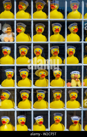 Massachusetts, Cape Cod, Chatham, rubber duckies Stock Photo - Alamy