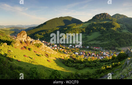 A beautiful view of small houses in a snowy forest with tall trees ...