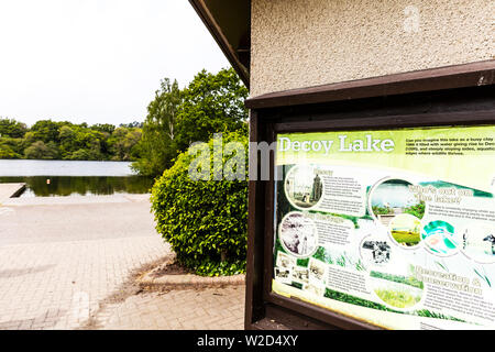 decoy lake newton abbot devon uk, Decoy Country Park, Decoy Country ...