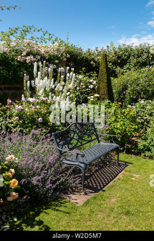 David Austin Roses, UK flower gardens Stock Photo - Alamy