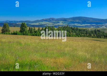 upland meadows above the little blackfoot river valley near avon ...