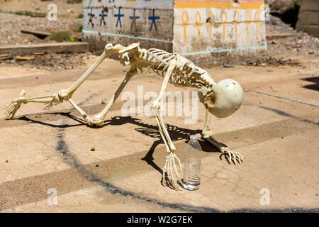 Skeleton dead of thirst at Ludwig mine Nevada ruins Stock Photo - Alamy