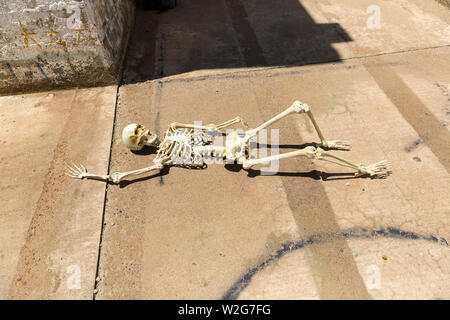 Skeleton dead of thirst at Ludwig mine Nevada ruins Stock Photo - Alamy
