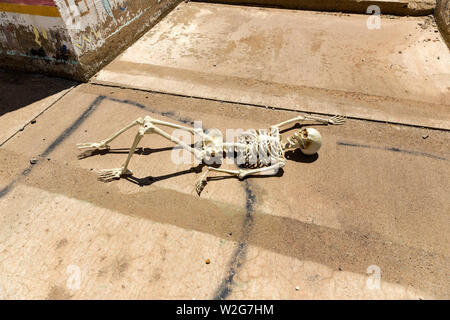 Skeleton dead of thirst at Ludwig mine Nevada ruins Stock Photo - Alamy