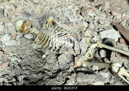 Skeleton in a dark cave in the ground lying on rocks Stock Photo - Alamy