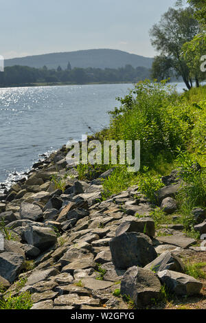 Rhine beach in Bonn Stock Photo - Alamy