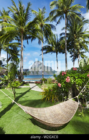 hammock between palm trees by the sea Stock Photo - Alamy