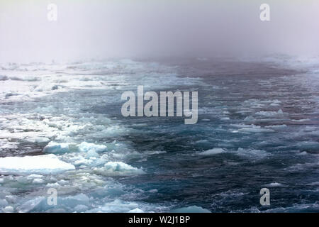 An open lead in drift ice created by wind and current leads to an ...