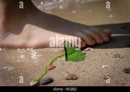 Woman´s foot stepping on broken glass Stock Photo - Alamy