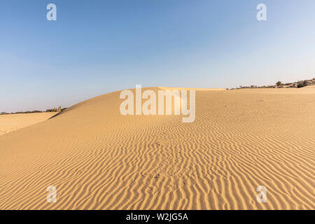 thar desert landscape, view of thar zone, in the rajasthan Stock Photo ...