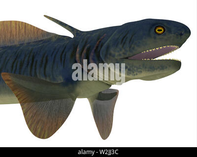 Prehistoric shark Orthacanthus in an underwater landscape Stock Photo ...