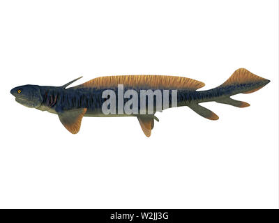 Orthacanthus was a carnivorous freshwater shark that lived in swamps of ...