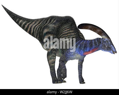 Parasaurolophus with a cranial crest was a herbivorous Hadrosaur ...