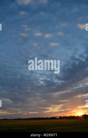 a collection of shots of the sun setting over the flat Suffolk fields ...