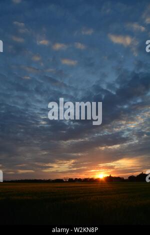 a collection of shots of the sun setting over the flat Suffolk fields ...