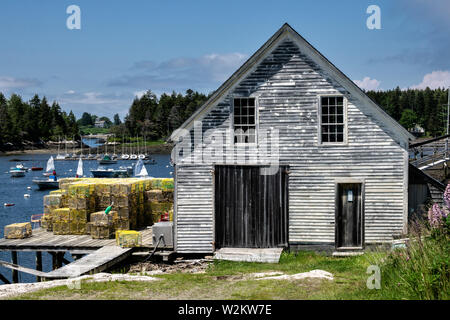A boat house and lobster wharf with Lupines flowering in the tiny ...