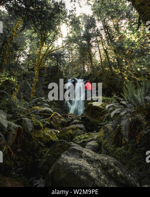 Merriman Falls. Olympic National Park, Washington, USA Stock Photo - Alamy