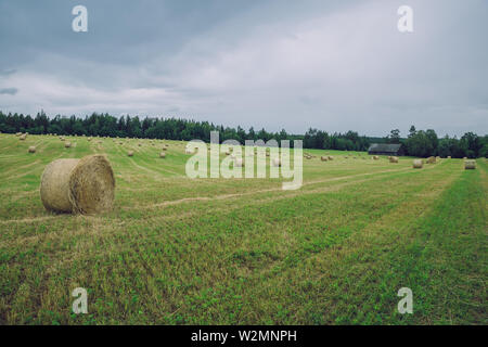 City Cesis, Latvia Republic. Overcast day, meadow hay rolls and trees ...