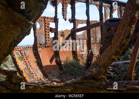 Wreck of the Paiaka, sunk in 1906, Pencarrow Head, near Eastbourne ...