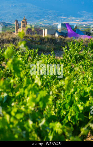 Elciego village, Wine region of la Rioja Alavesa, Alava, The Basque ...