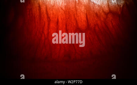 Watermelon on dark with back light. Macro with shallow depth of field ...