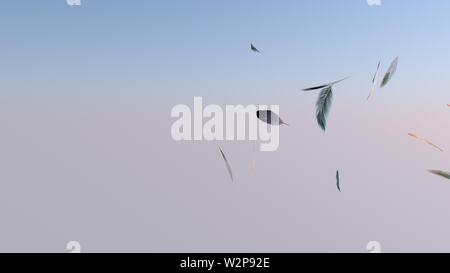 Soft silky feathers isolated on background with copy space for text and ...
