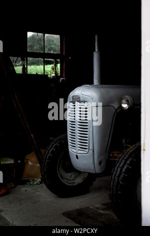 A Grey and Gold Ferguson Vintage Tractor in a wooden barn Stock Photo ...