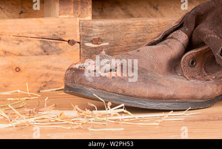 Brown mouse climbs in an old boot in studio environment Stock Photo - Alamy