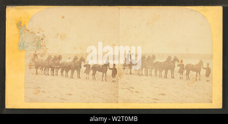 Coachmen, horses, and carriage, from Robert N. Dennis collection of ...