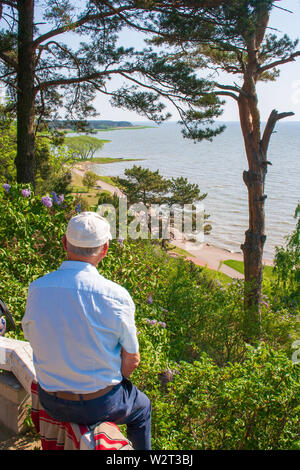 Dunes of the Baltic Sea with young pine trees on a cloudy day Stock ...