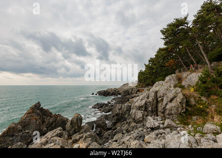 Wooden trail along the shore in Haeundae at Busan, South Korea Stock ...