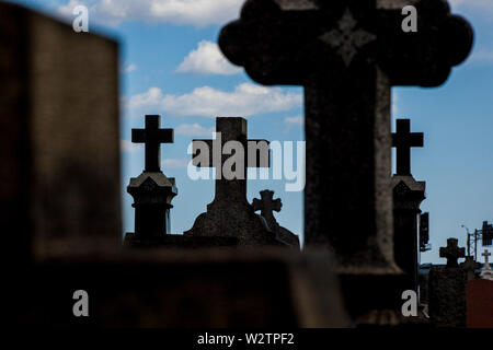 Mob scenes in Brooklyn and the Queens neighborhood. The Calvary ...