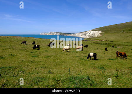 Wide view of Compton Bay with Tennyson Down and chalk cliffs in the ...