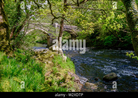 Deeper Marsh on the River Dart Dartmoor National Park Devon England ...