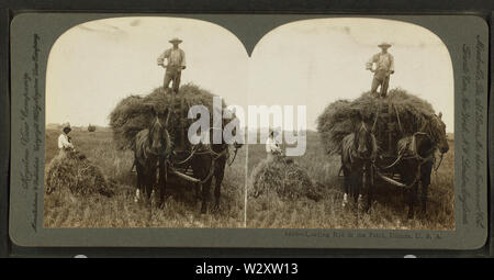 Loading rye in the field, Illinois, U.S.A, by Keystone View Company ...