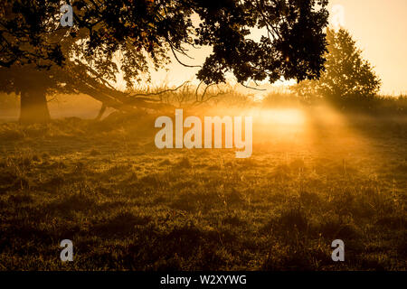 Bramley, Surrey, England, UK Location Imagery Stock Photo - Alamy