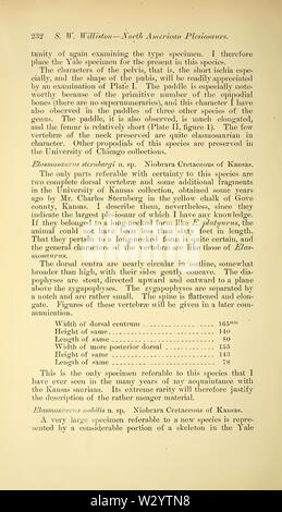 North American Plesiosaurs Elasmosaurus, Cimoliasaurus, and ...