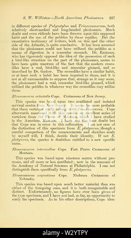 North American Plesiosaurs Elasmosaurus, Cimoliasaurus, and ...