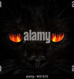 shaggy monster red eyes closeup Stock Photo - Alamy