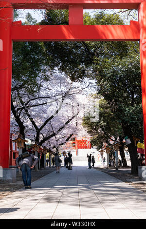 Orange torii gates at the Hanazono Inari Shrine at the Ueno Park in ...