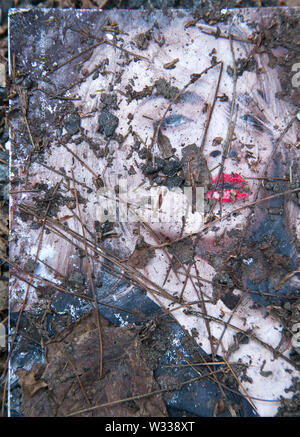 decaying magazine image of a woman outside on the ground Stock Photo ...