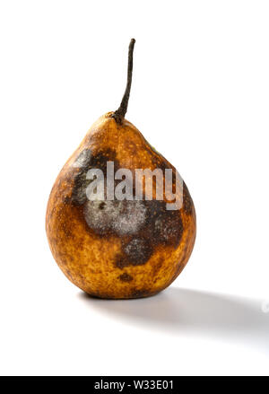 badly overripe pear on a white background Stock Photo - Alamy