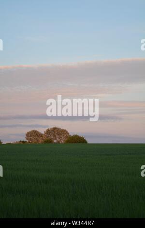 Suble sheds of colour in the sunset sky Stock Photo - Alamy