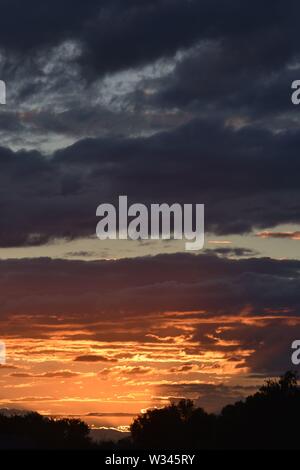 Sunset over the flat suffolk fields with some trees in the distance ...