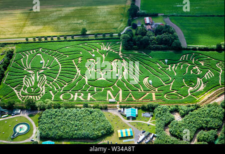 The 2019 York Maze in York, created from over one million living ...